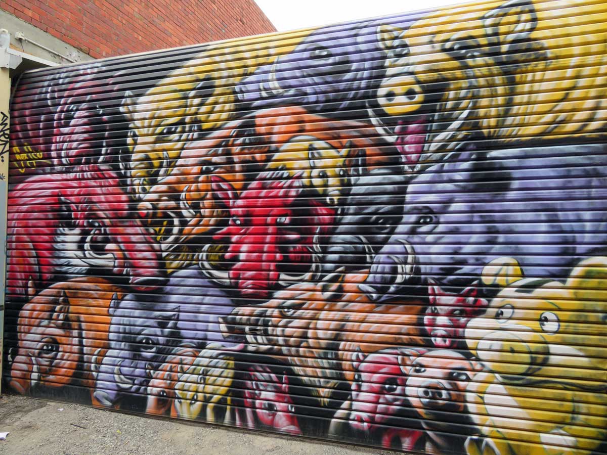 CBD meaning: What does CBD stand for in Australia?