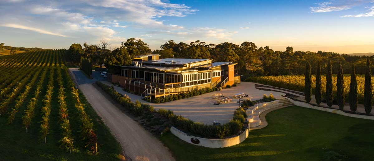 Lane Vineyard, Adelaide Hills: Why should I visit this Hahndorf winery?