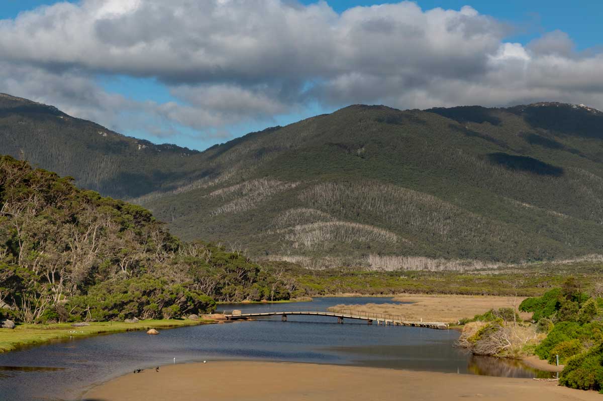 Tidal River, Victoria: What are the best things to do?