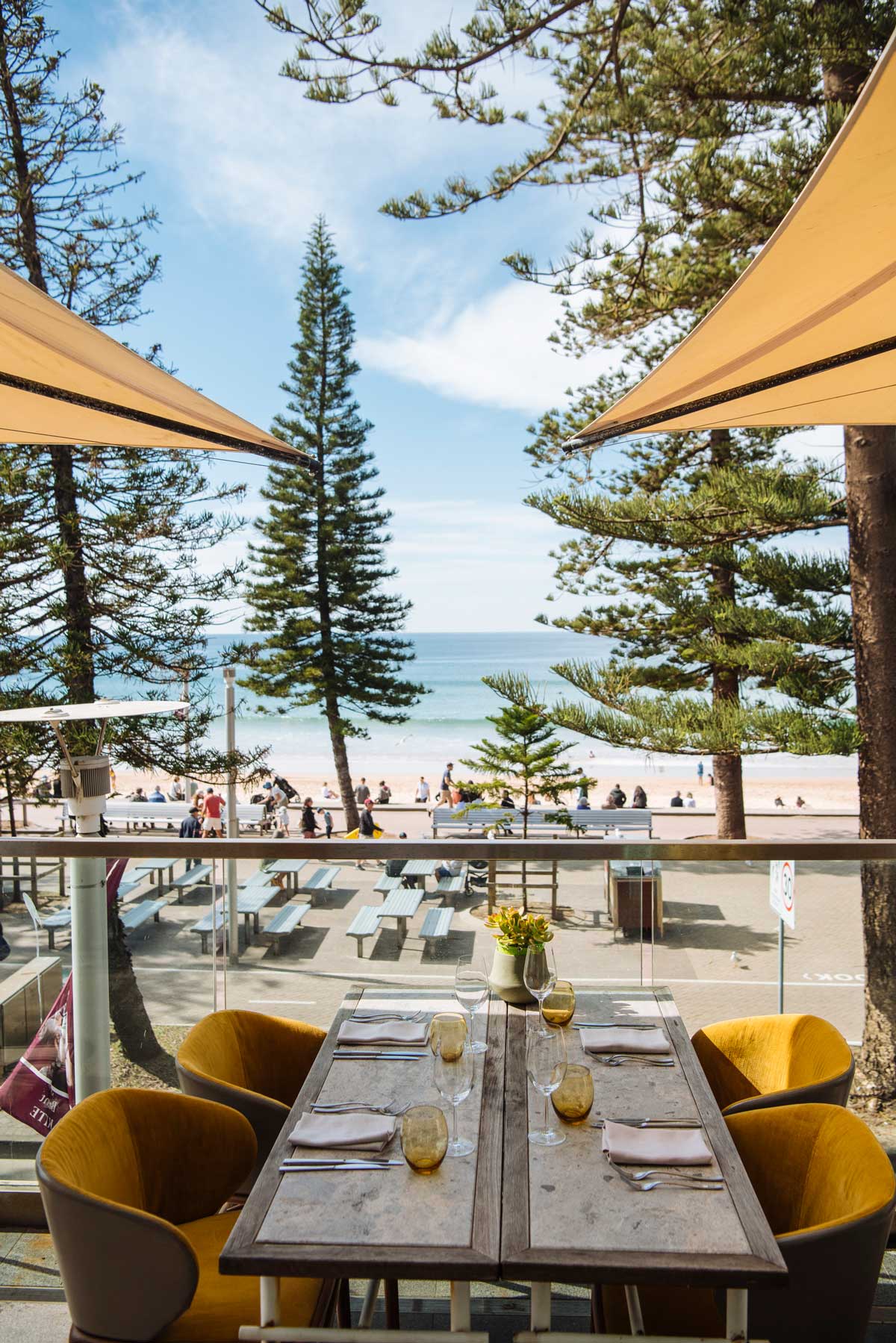 Manly Greenhouse: Rooftop bar, menu and location