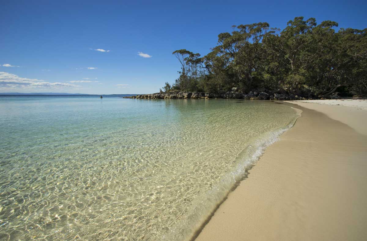 Green Patch Beach, Jervis Bay Territory: Camping & walks