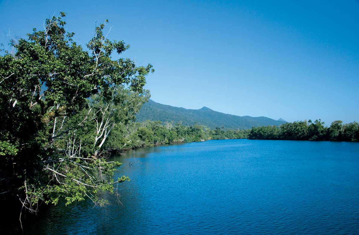 Mulgrave River tours: River tubing near Cairns